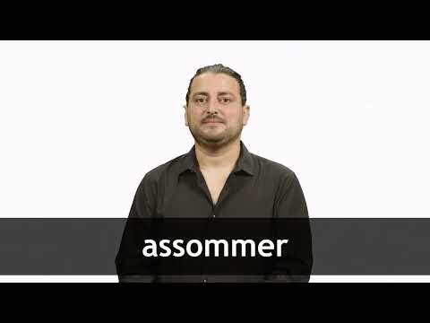 English Translation of “ASSOMMER” | Collins French-English Dictionary