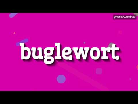 BUGLEWORT - HOW TO SAY BUGLEWORT? #buglewort