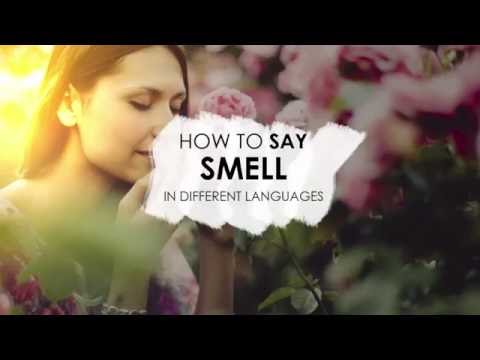 How to Say "Smell" in Different Languages | Verbs