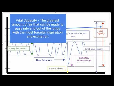 Edexcel GCSE PE - Lung Volumes