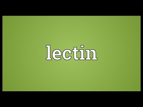 Lectin Meaning