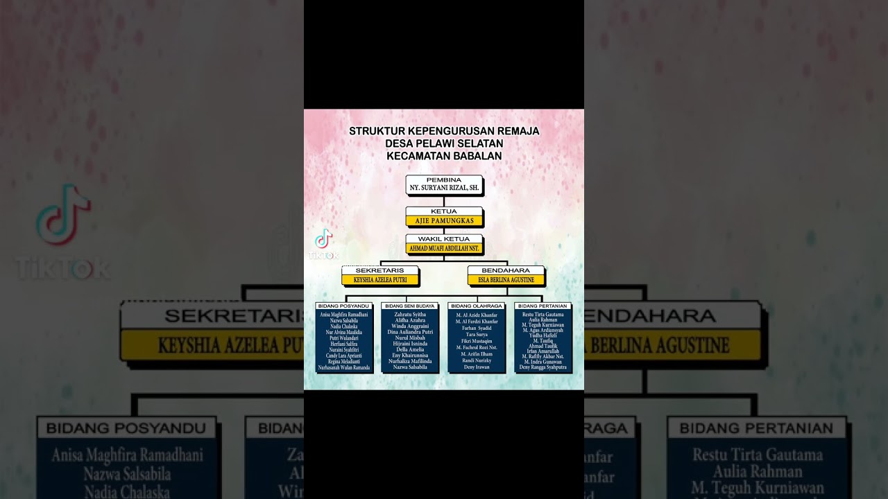 Struktur Kepengurusan Remaja Desa Pelawi Selatan