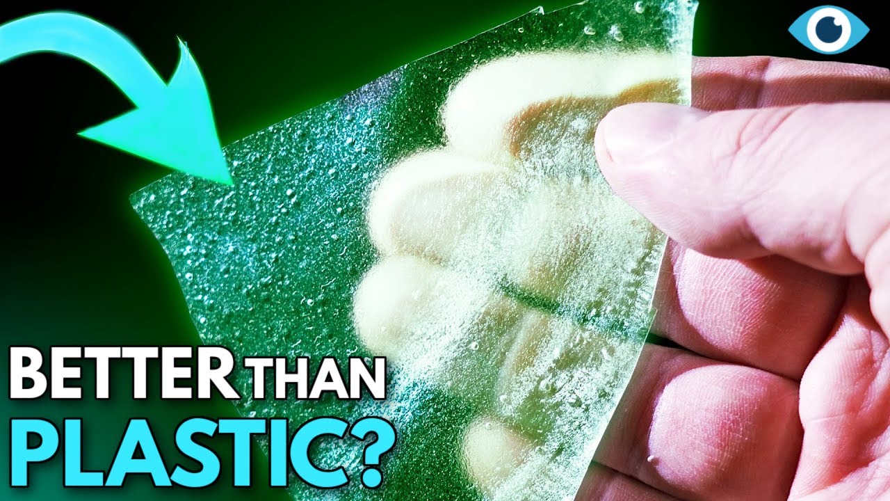 This Incredible New Material Could Replace Plastic