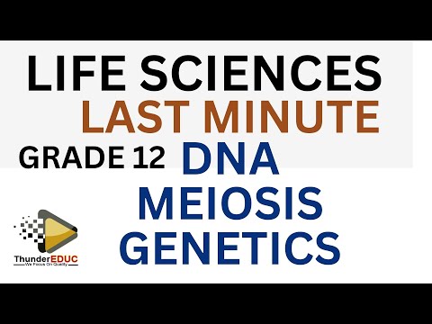 LAST MENUTE: LIFE SCIENCES GRADE 12: DNA CODE OF LIFE, MEIOSIS GENETICS THUNDEREDUC BY M.SAIDI