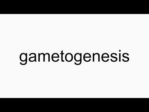 How to pronounce gametogenesis