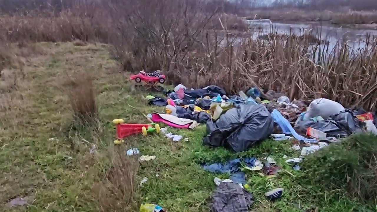 (VIDEO) Râul Strei batjocorit de oameni. Este plin de lebede și pește ...