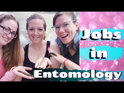Jobs in Entomology