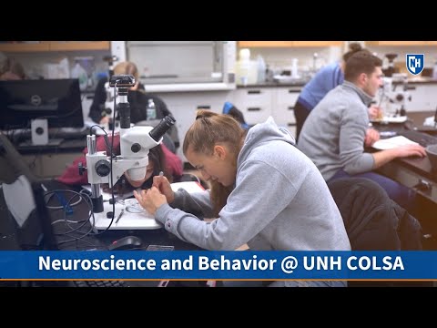 Explore the World of Behavioral Neuroscience at UNH: A Multidisciplinary Journey