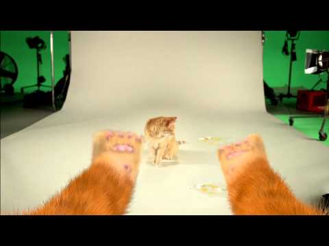 Puss In Boots Movie: Behind the Scenes Audition Tapes