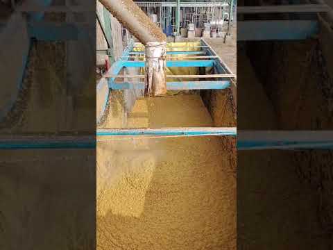 Corn DDGS - Maize Ddgs Latest Price, Manufacturers & Suppliers