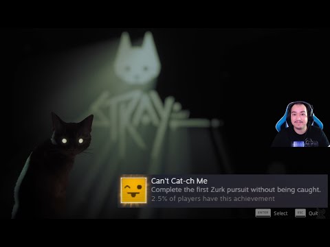 Steam Community :: Video :: Can't Cat-ch Me - Stray (2022) PC