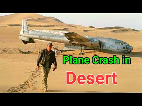 Aeroplane Crash Movie Explained in Hindi/Urdu | Film Explained in Hindi/Urdu Summarized हिन्दी