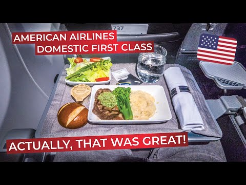 BRUTALLY HONEST | Domestic First Class on American Airlines' Boeing 737-800!
