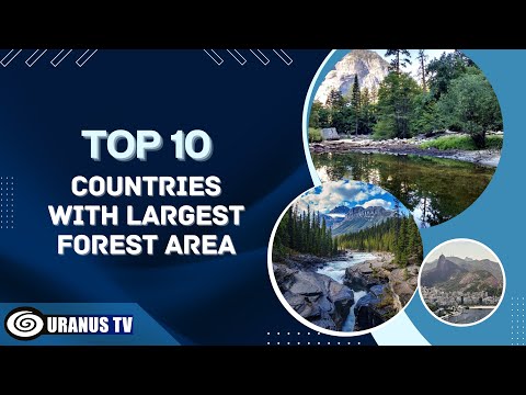 Top 10 Countries With Largest Forest Area