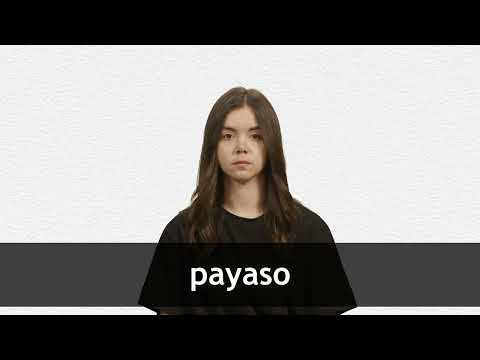 English Translation of “PAYASO” | Collins Spanish-English Dictionary