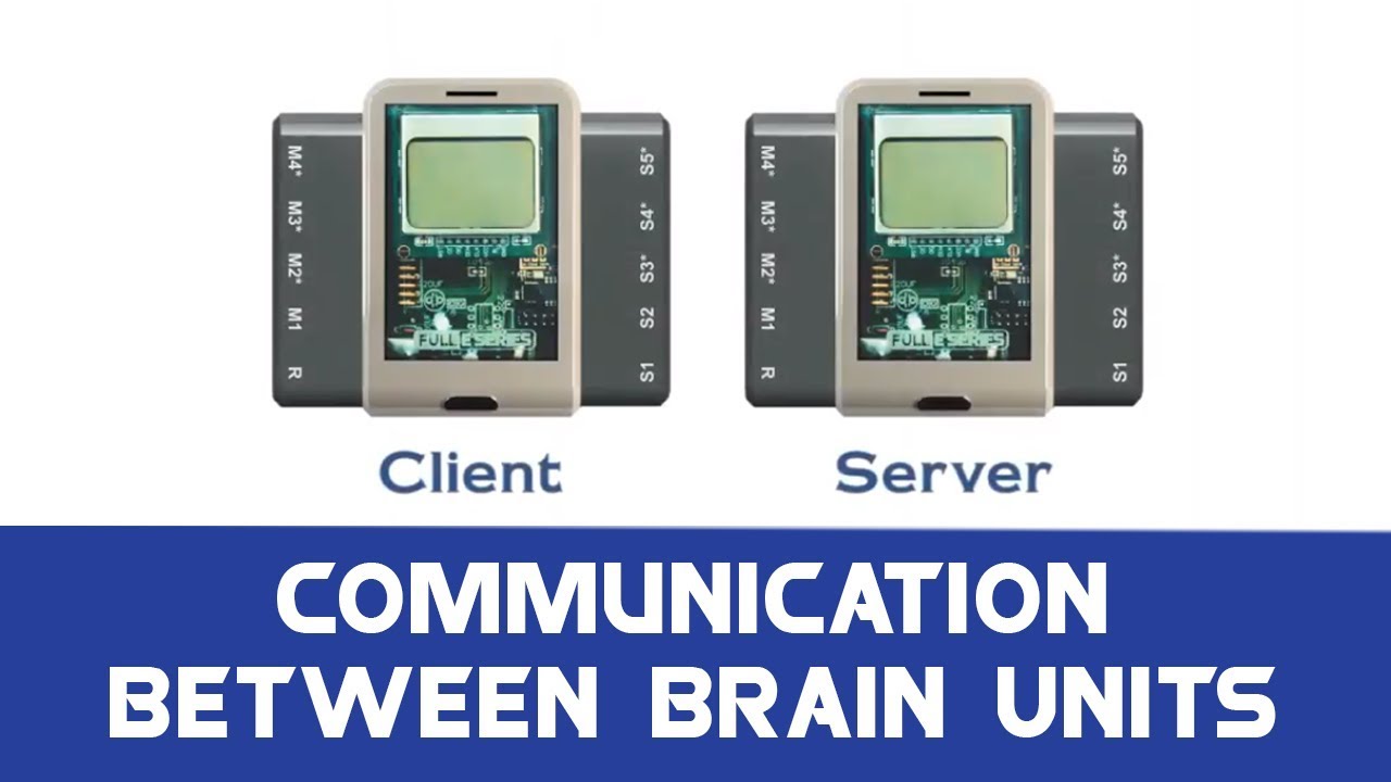 Communication between Brain Units