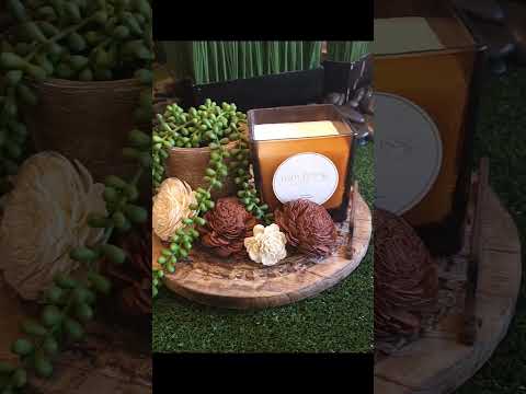 Body Bliss Massage and Day Spa PROSPECT