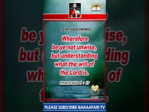 Unveiling Today's Divine Promise | today gods promise | #shorts #bibleverse
