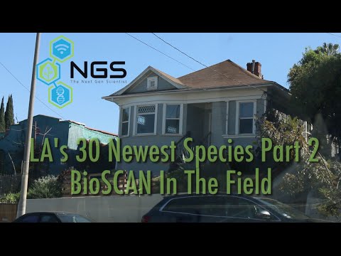 Los Angeles's 30 Newest Species Part 2: BioSCAN In The Field