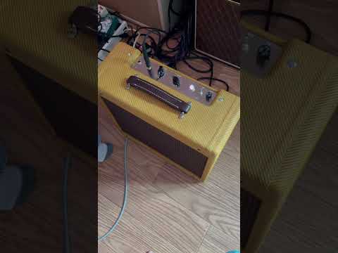 5F2a Fender Tweed Princeton Clone Neg Fdbk switch | Reverb