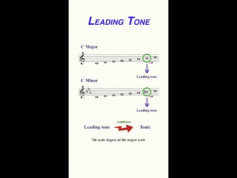 The Leading tone 🎵 #Shorts