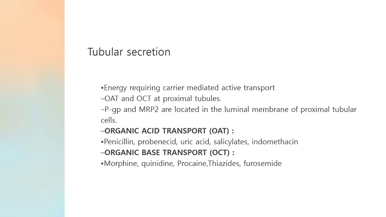 excretion ppt