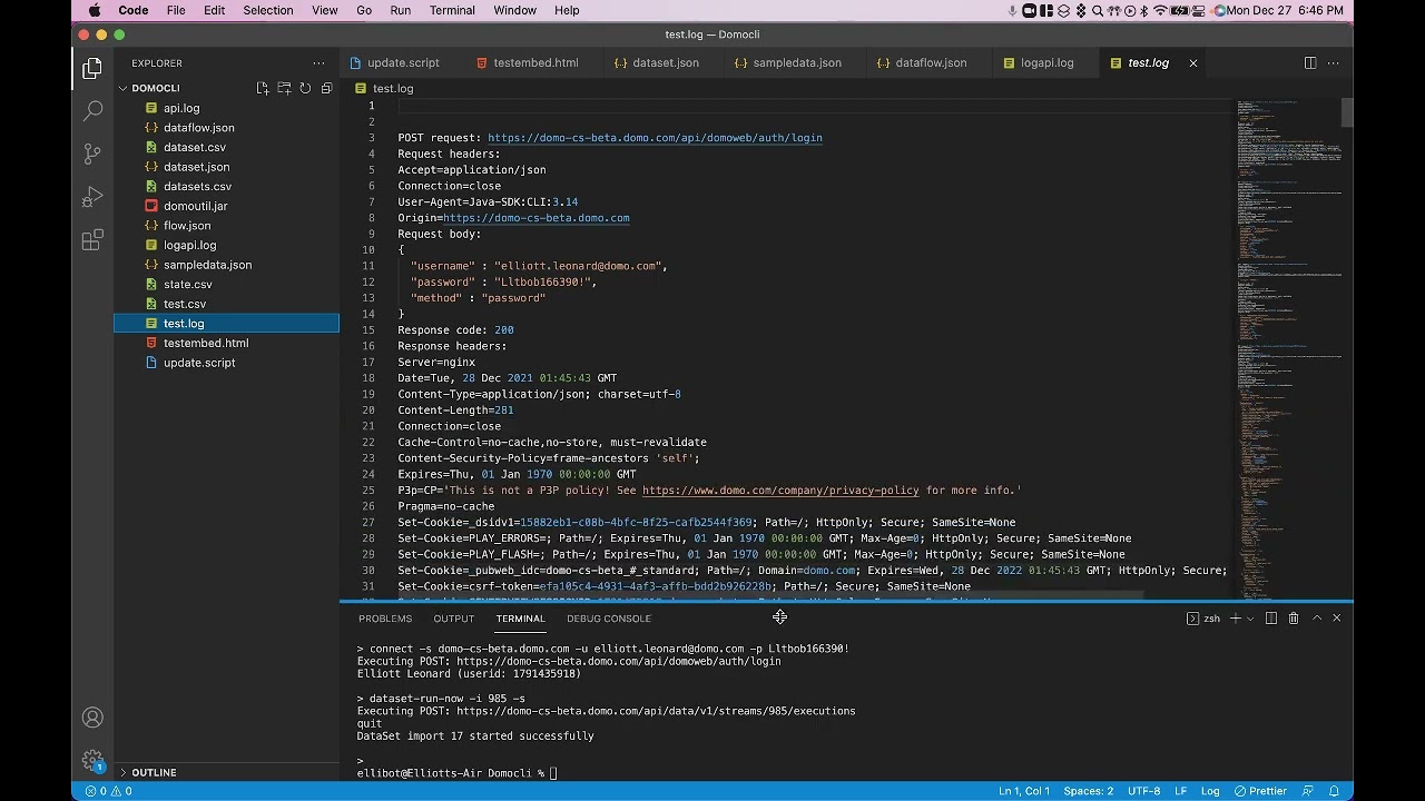 Domo - Log API Requests Using the Java CLI