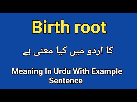 Birth root meaning in urdu |english |birth root k kia matlab hai