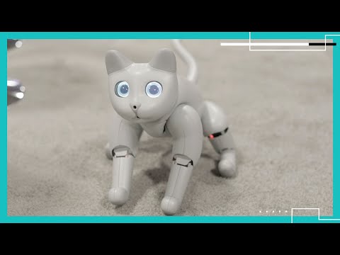 Mars-cat Robot -AI – News of the Day