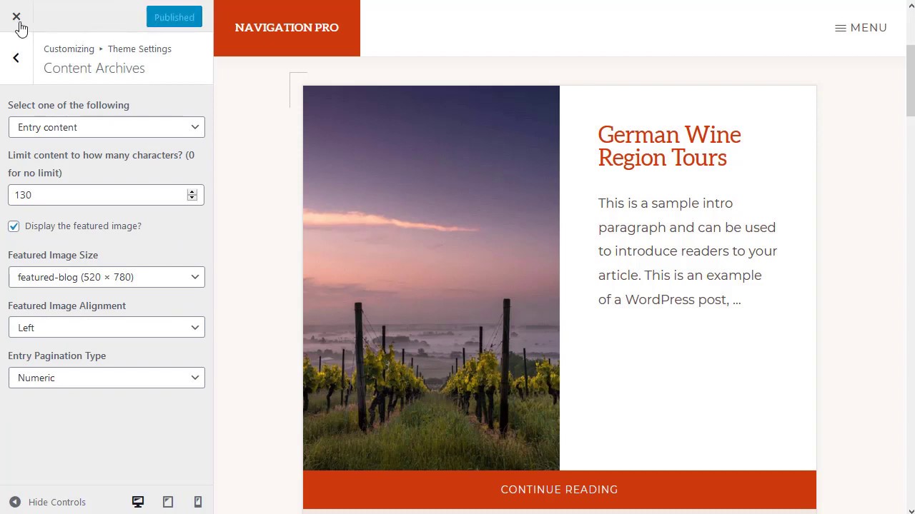 Navigation Pro theme basic Customizer settings