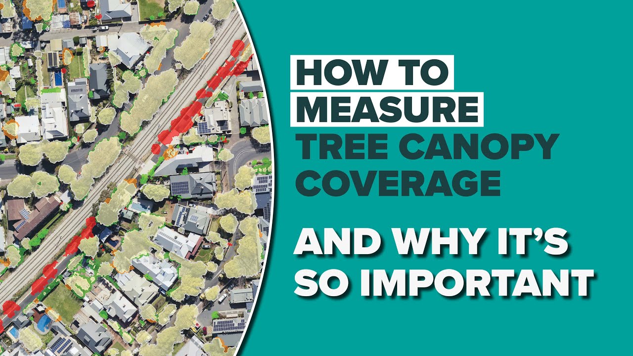 How To Measure Tree Canopy Coverage – And Why It’s So Important