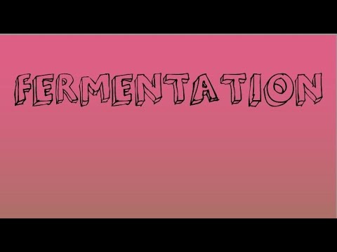 Lasseter AP Bio 08: Fermentation