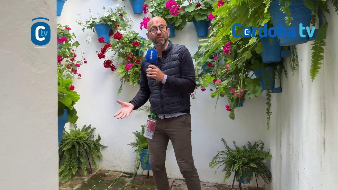 PATIOS 2026