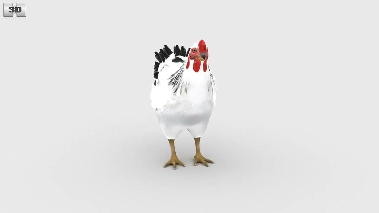 Hen Low Poly 3D model by 3DModels.org
