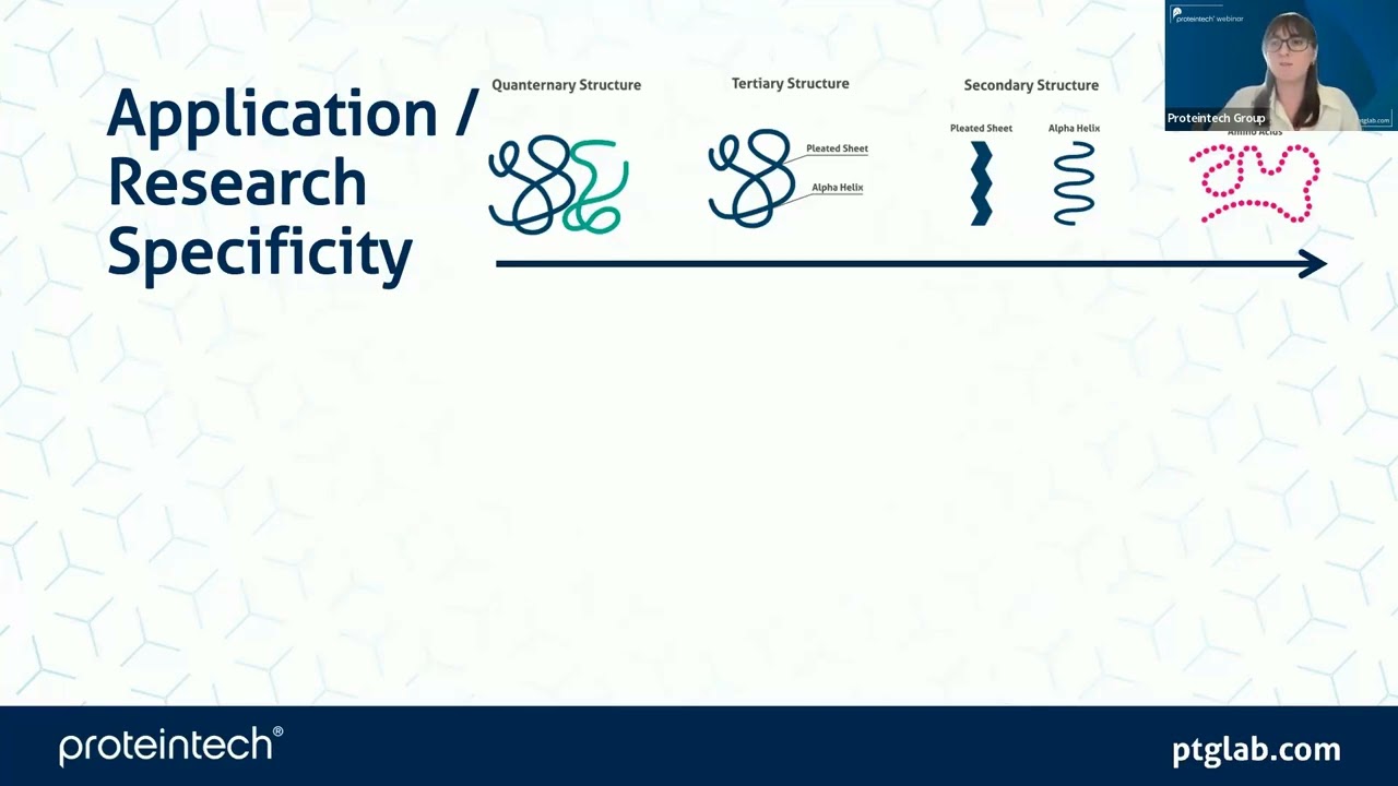 Introducing Able AI: The first AI-powered search tool for reagent selection and experimental design