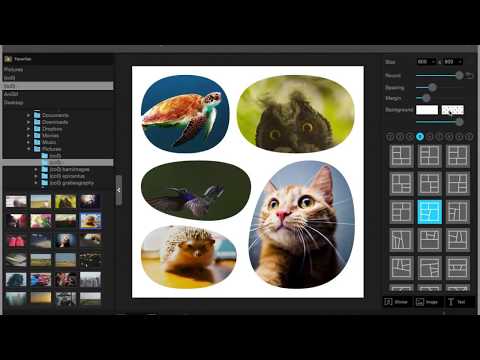 Collage - PhotoScape X for Mac 2.3
