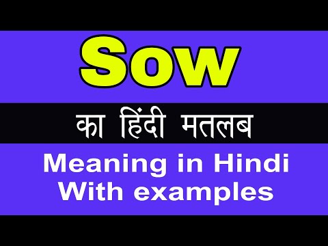 Sow Meaning in Hindi/Sow ka Matlab kya Hota hai