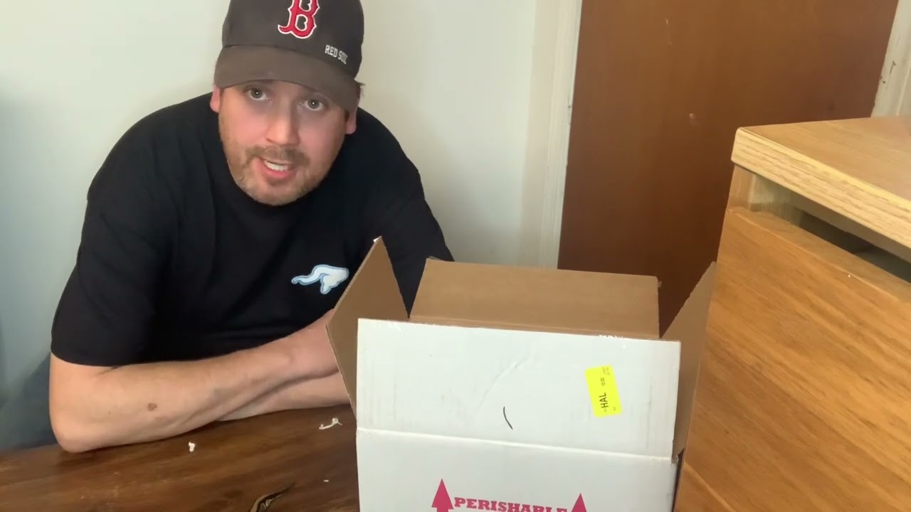 Ball Python Unboxing- from Villarino Reptiles