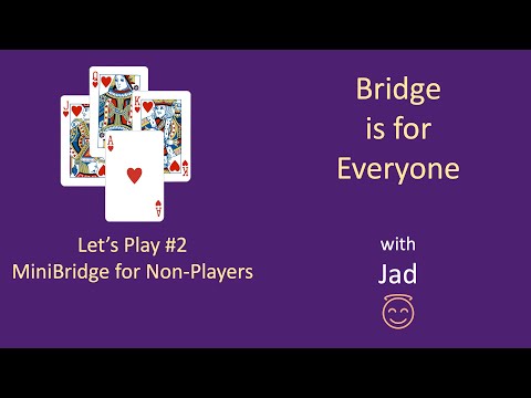 Minibridge :: Computer-bridge1