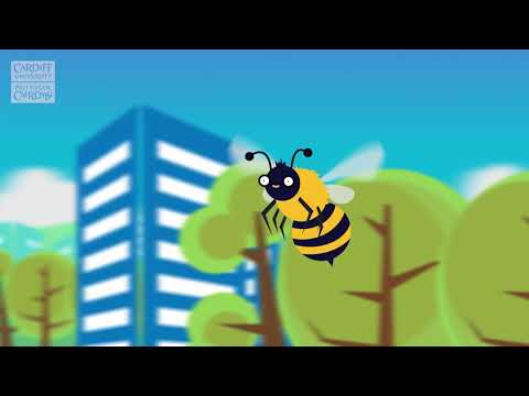 What is Science?