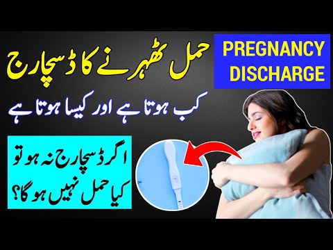 Pregnancy Discharge & Early Pregnancy Symptoms |White Discharge Before Periods is Implantation sign