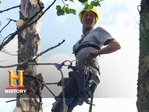 Ax Men: Meet David Zitterkopf | History