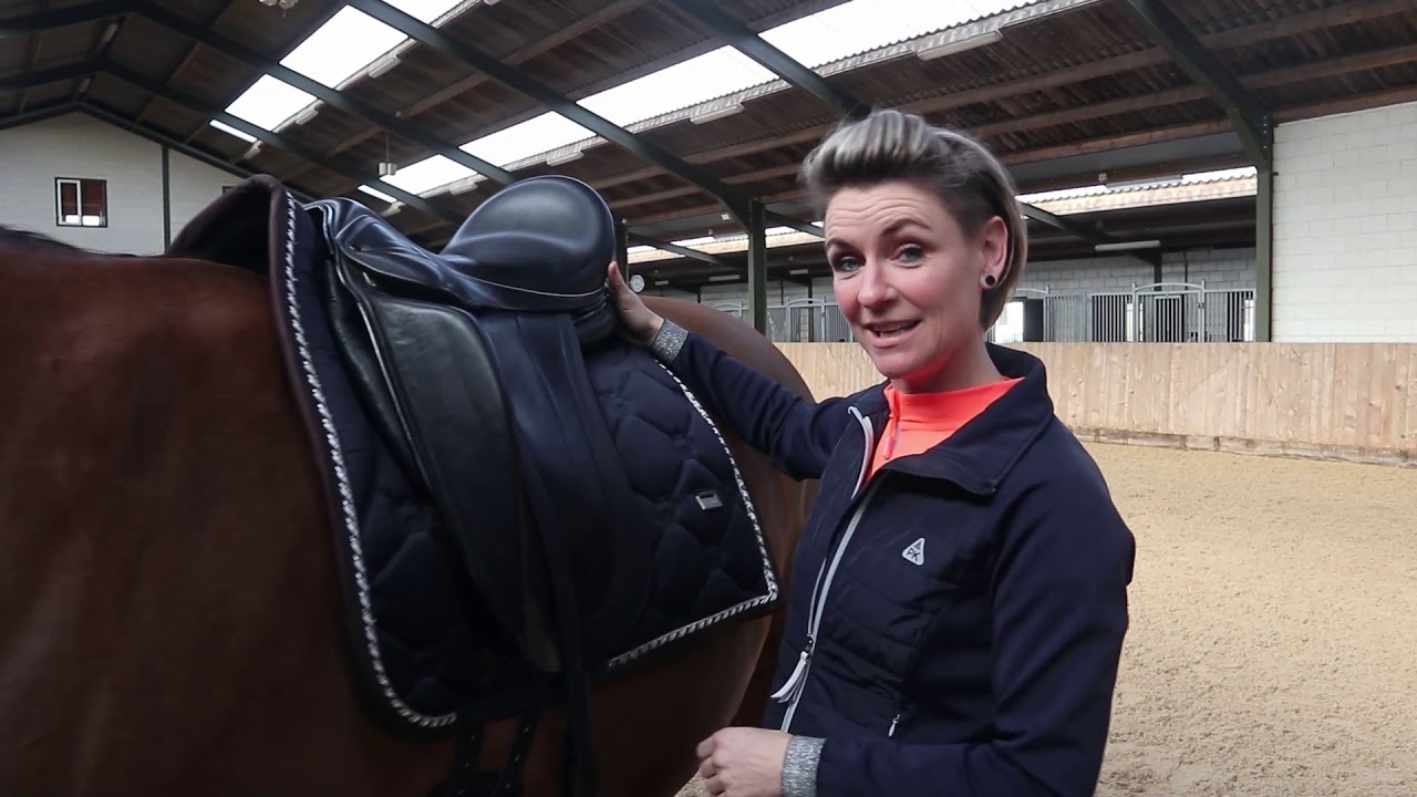 TreeClix System? - Dressage - Chronicle Forums