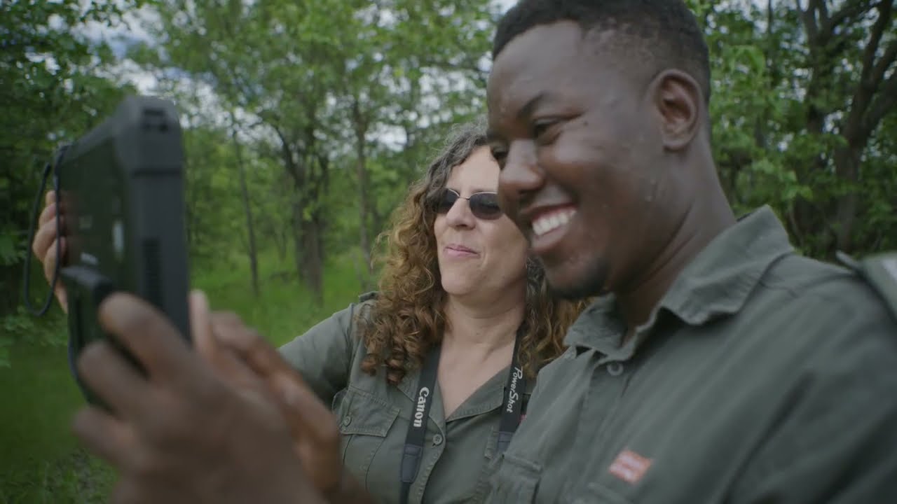 Using Dell Technology to help protect the African elephant
