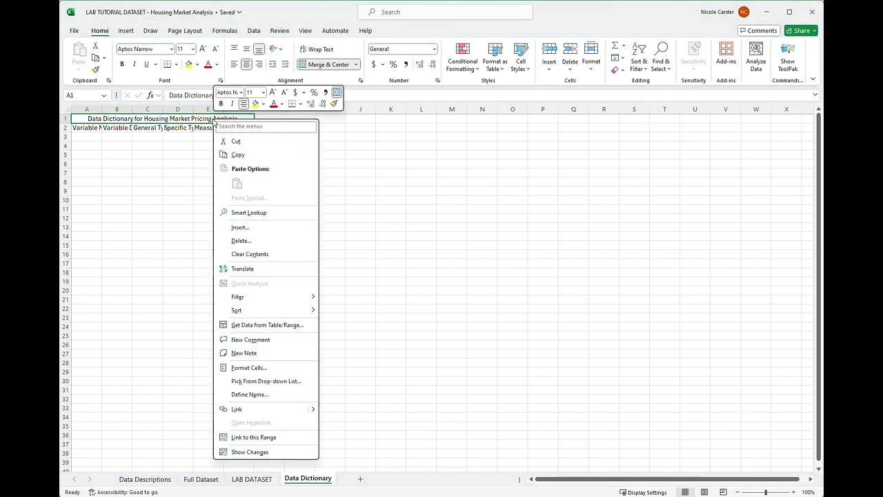 1 - Building a Data Dictionary - Getting Started