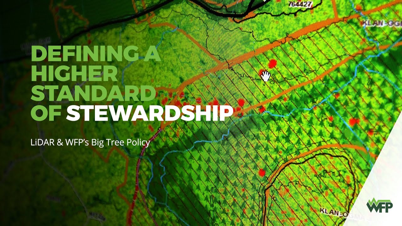 LiDAR & WFP's Big Tree Policy