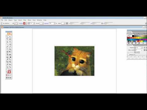 how to add arrows on photo