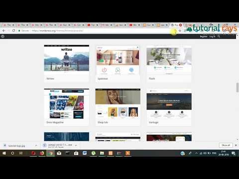Learn 7 WordPress Theme customize Tutorial Rays | By Umar Rahman - Mind Luster
