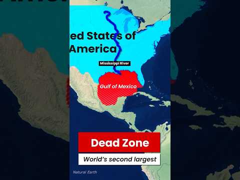 Where is Gulf of Mexico located ? World Geography #upscwallah #upsc #animatedshorts
