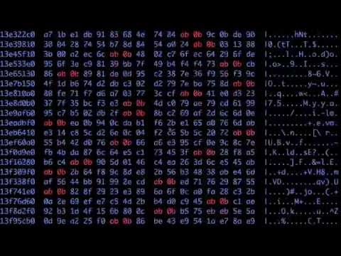 Hexdump